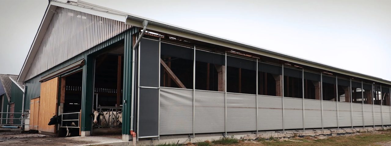 Beerepoot - Beerepoot