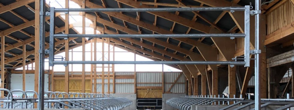 Beerepoot - Beerepoot